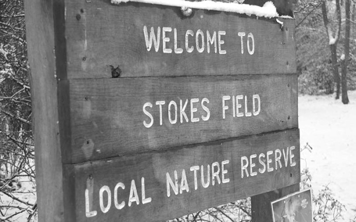 Stokes Field | Long Ditton Residents Association
